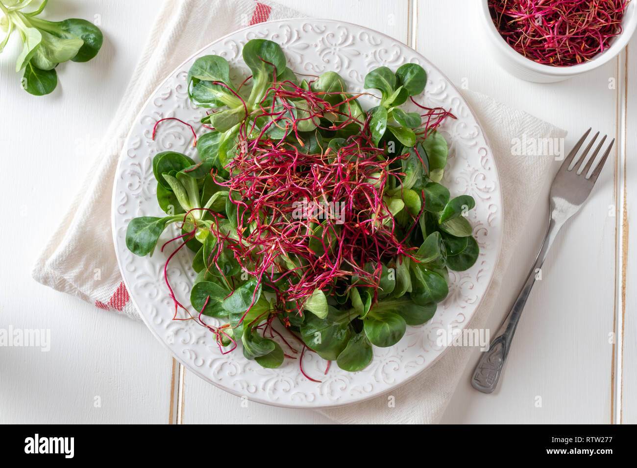 Salad with lamb's lettuce and fresh red beet sprouts, top view Stock ...