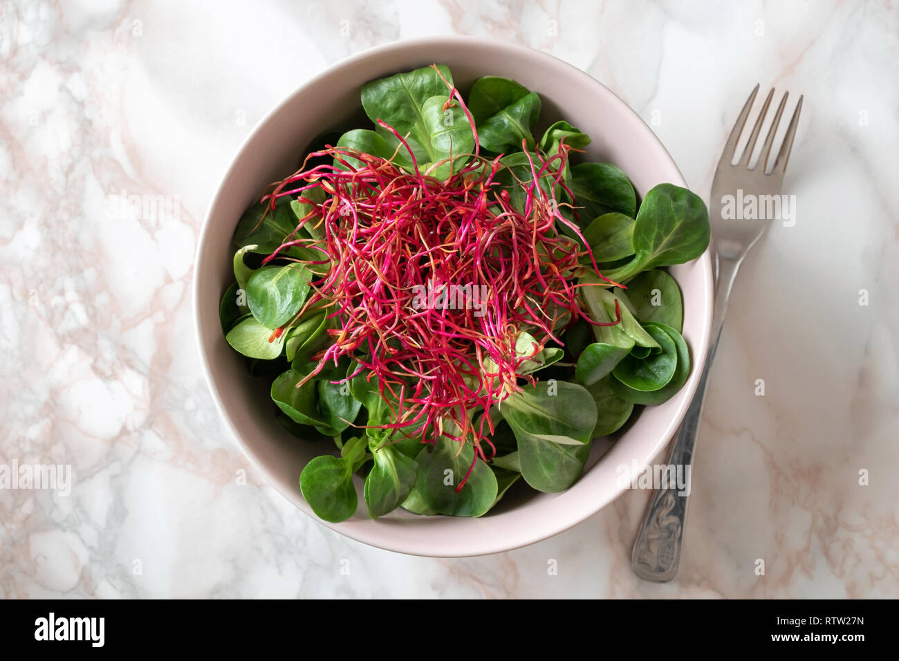 Salad with lamb's lettuce and red beet sprouts, top view Stock Photo ...