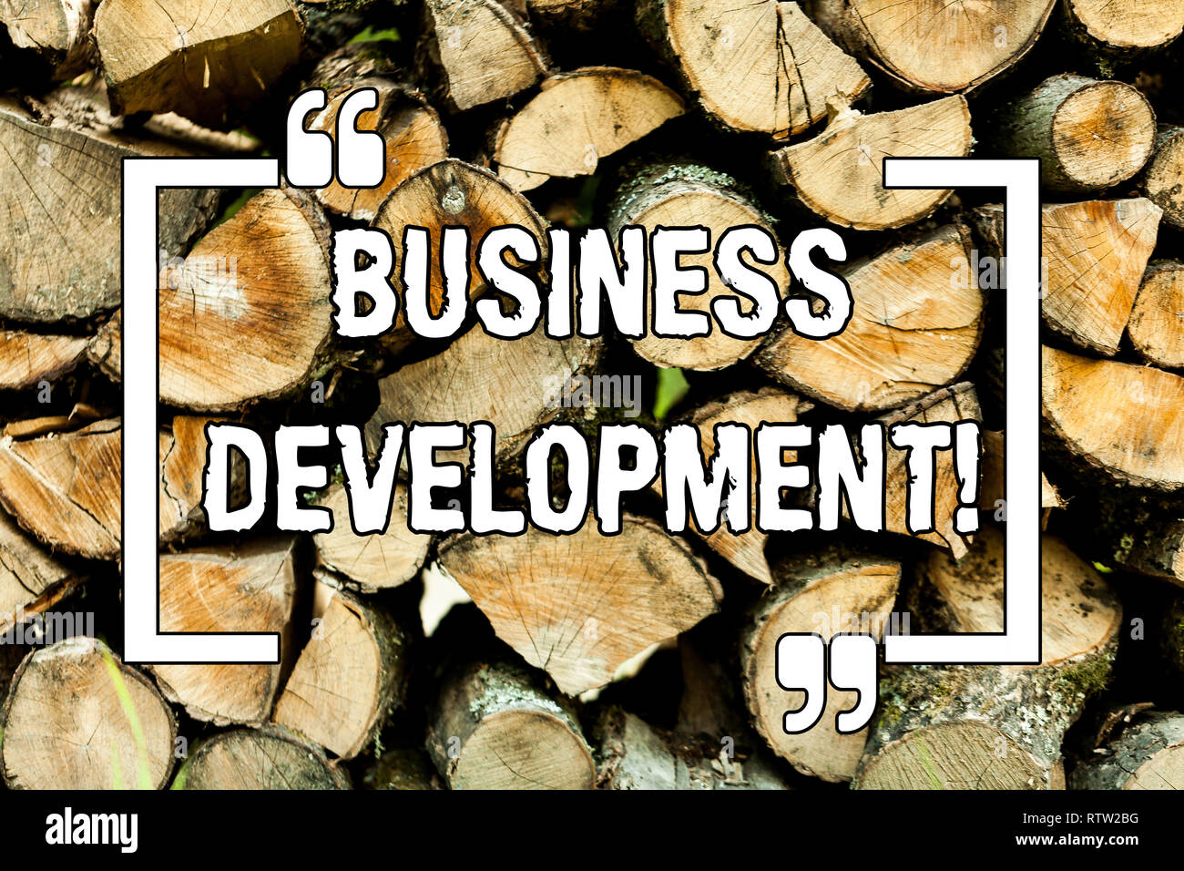 Text sign showing Business Development. Conceptual photo Develop and ...