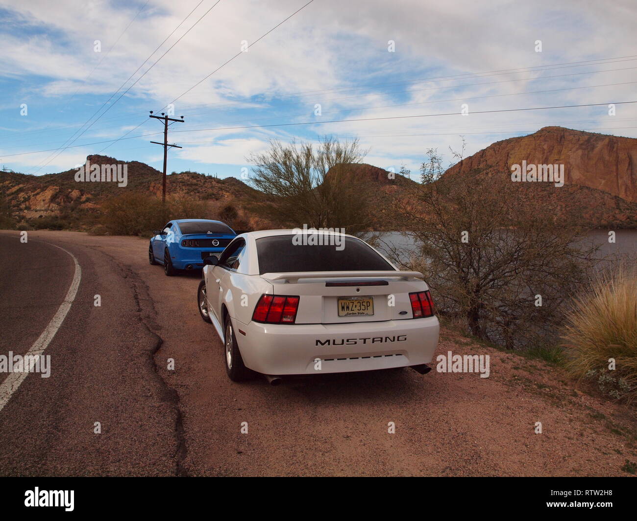 Two Mustangs on the road from Tortilla Flat, Arizona along route 88 ...