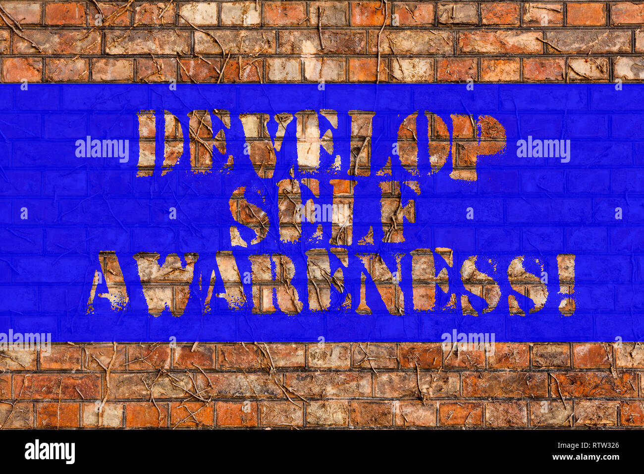 Selfanalysisagement hi-res stock photography and images - Alamy