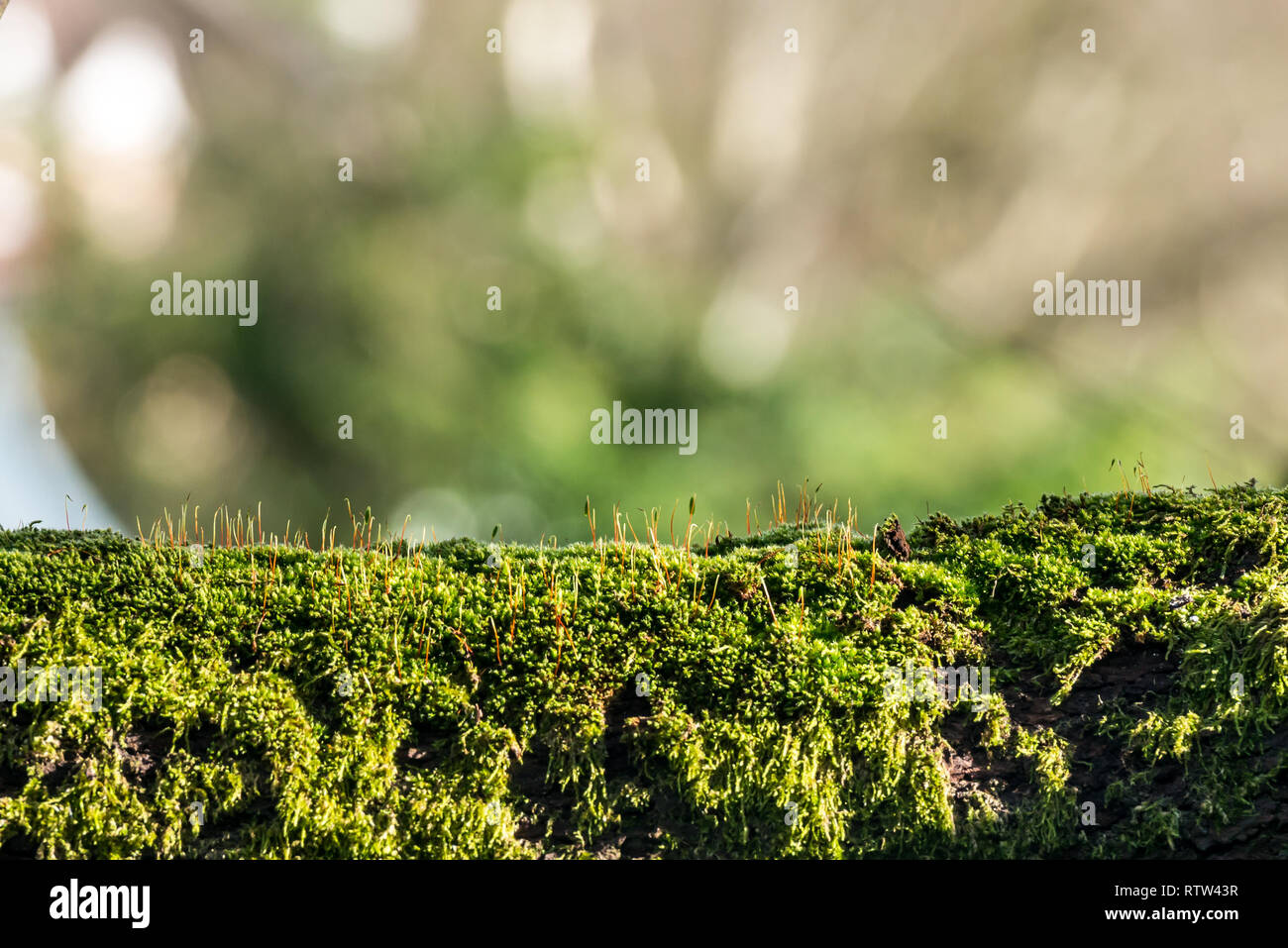 Sanderstead road, croydon hi-res stock photography and images - Alamy