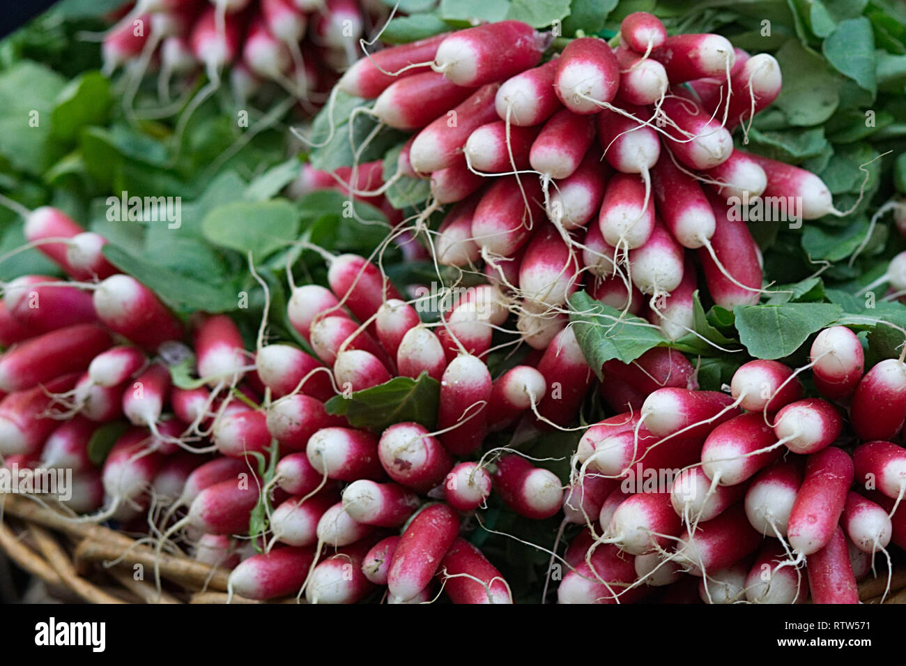 Radish in a wicker basket Stock Photo - Alamy