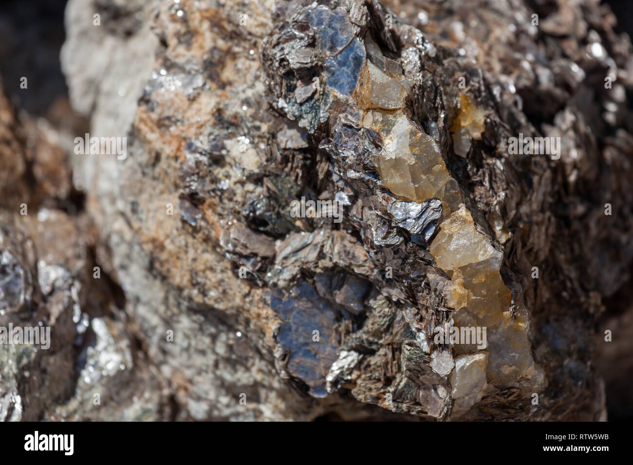 A rock with details of a quartz vein running through a cluster of ...