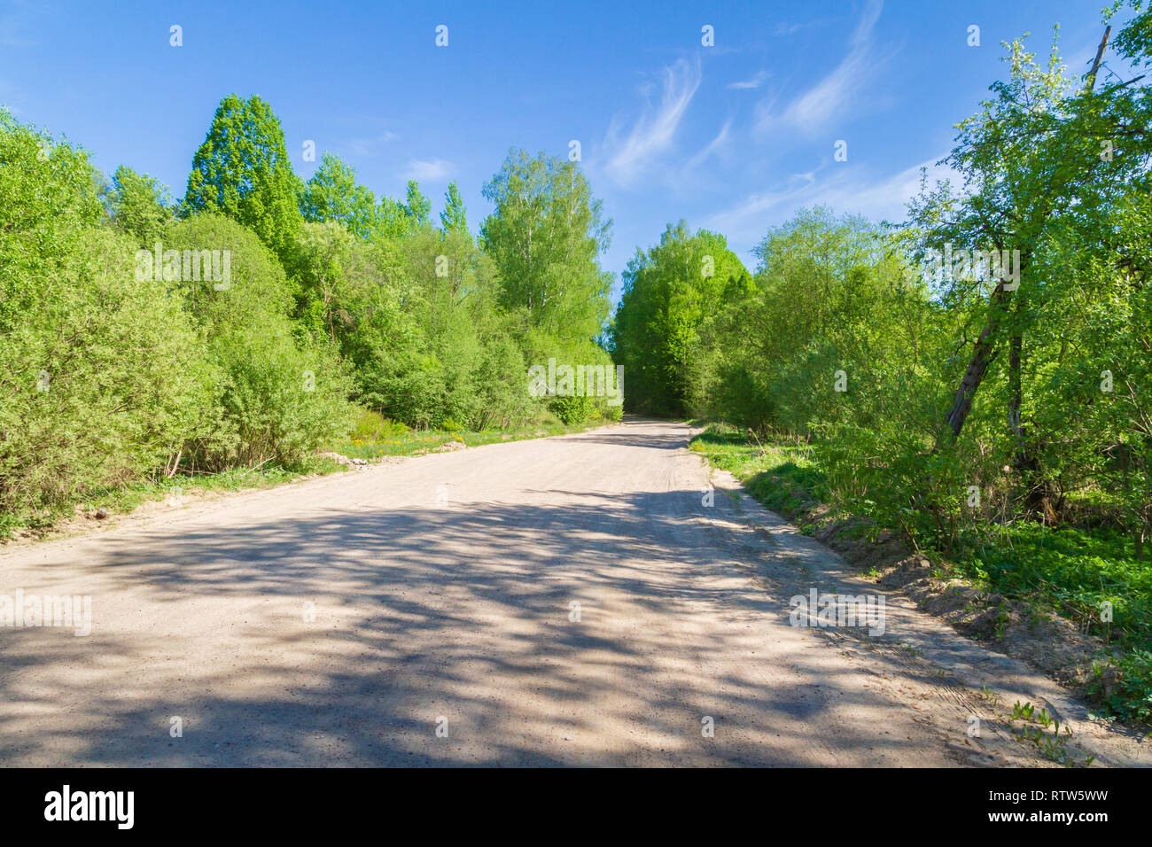 Flower from rubble hi-res stock photography and images - Alamy