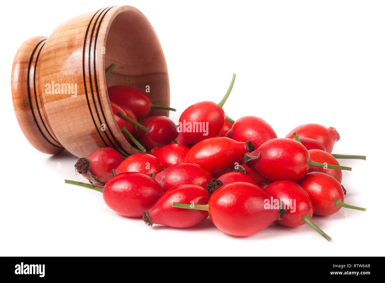 Rosehip branch berries in Cut Out Stock Images & Pictures - Alamy