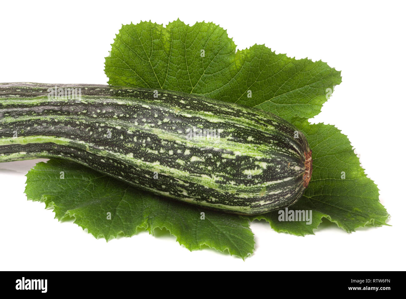One zucchini with leaf isolated on white background Stock Photo - Alamy