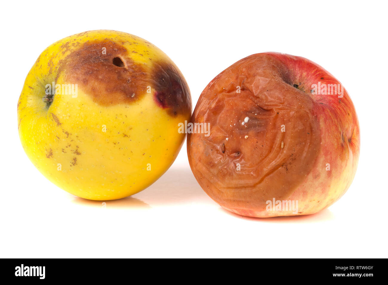 Rotten pair hi-res stock photography and images - Alamy