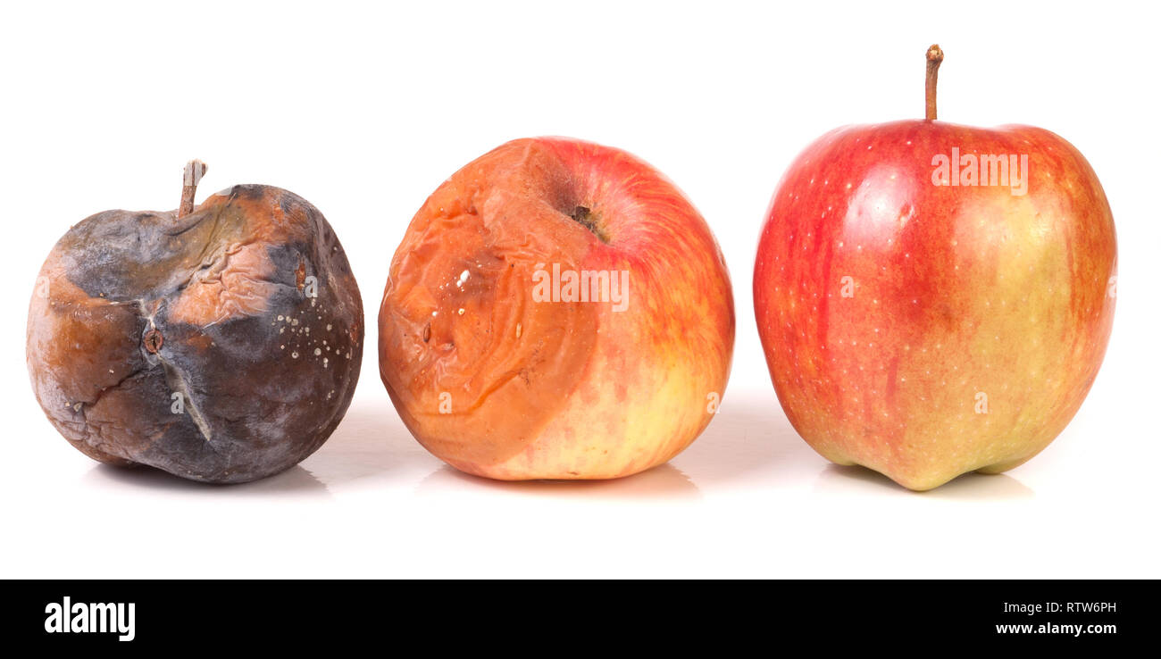 two rotten and one good apple isolated on white background Stock Photo ...