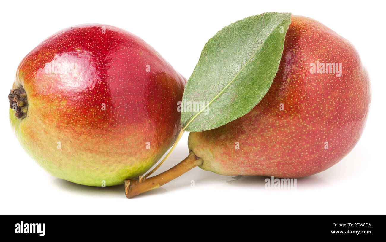 Two red pears with leaf isolated on white background Stock Photo - Alamy