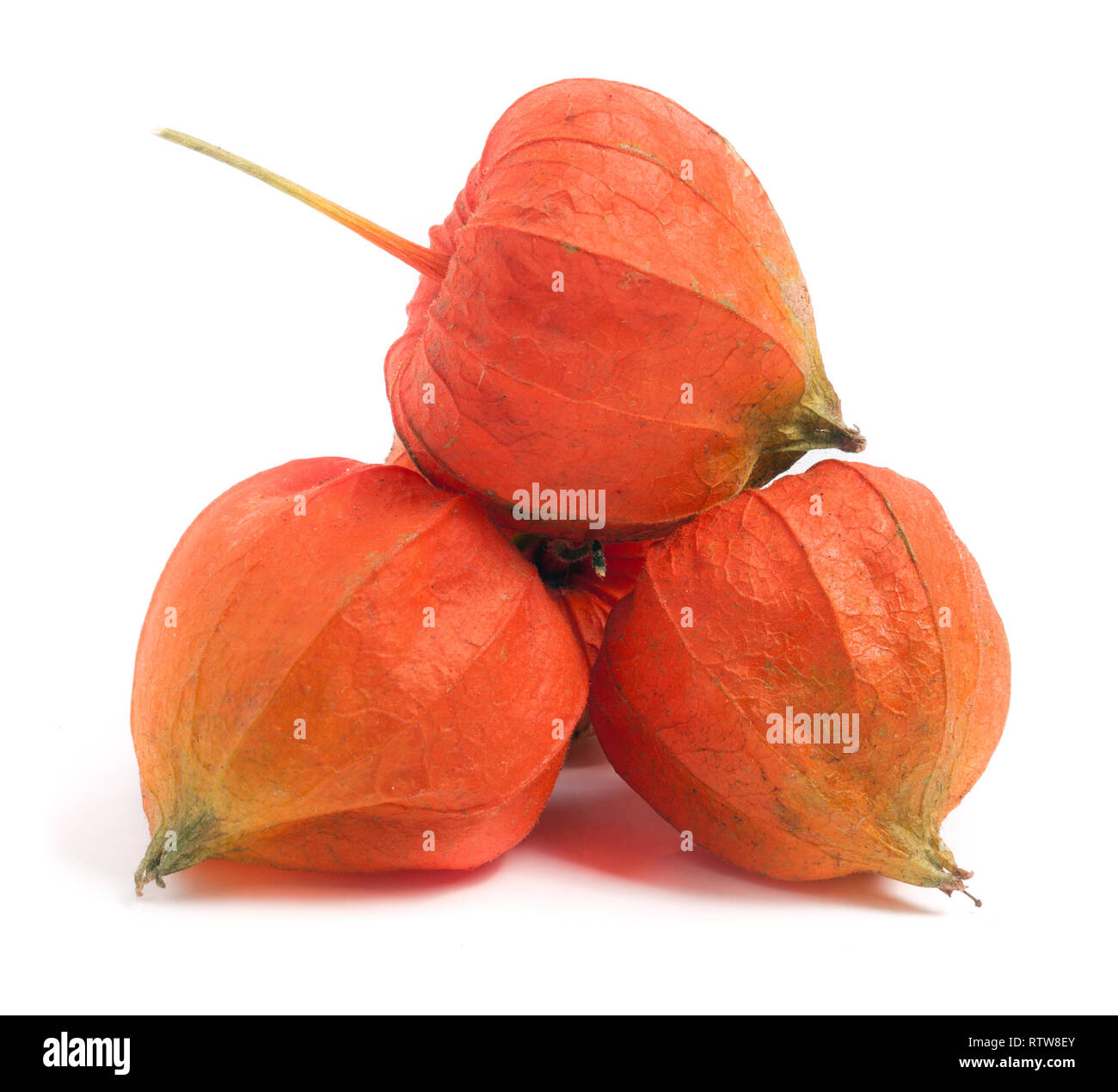 Physalis husk hi-res stock photography and images - Alamy