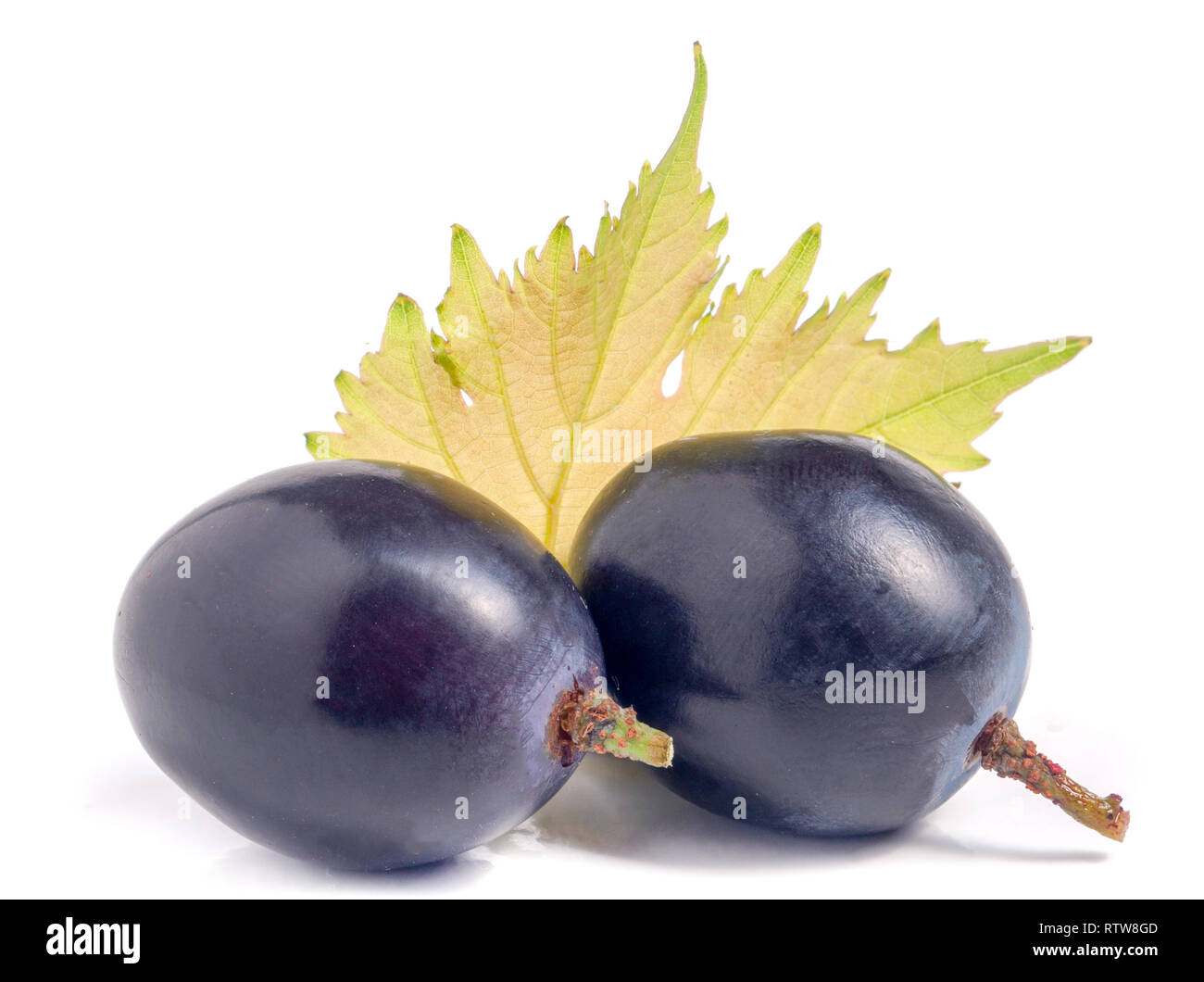 two blue grapes with leaf isolated on white background Stock Photo - Alamy