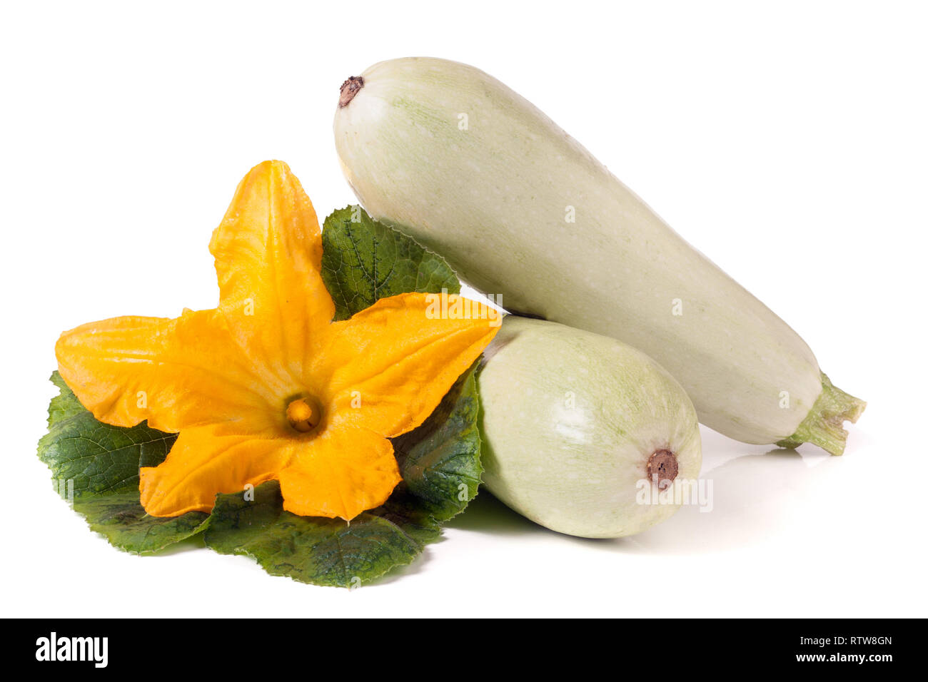 two zucchini with flower and leaf isolated on white background Stock ...
