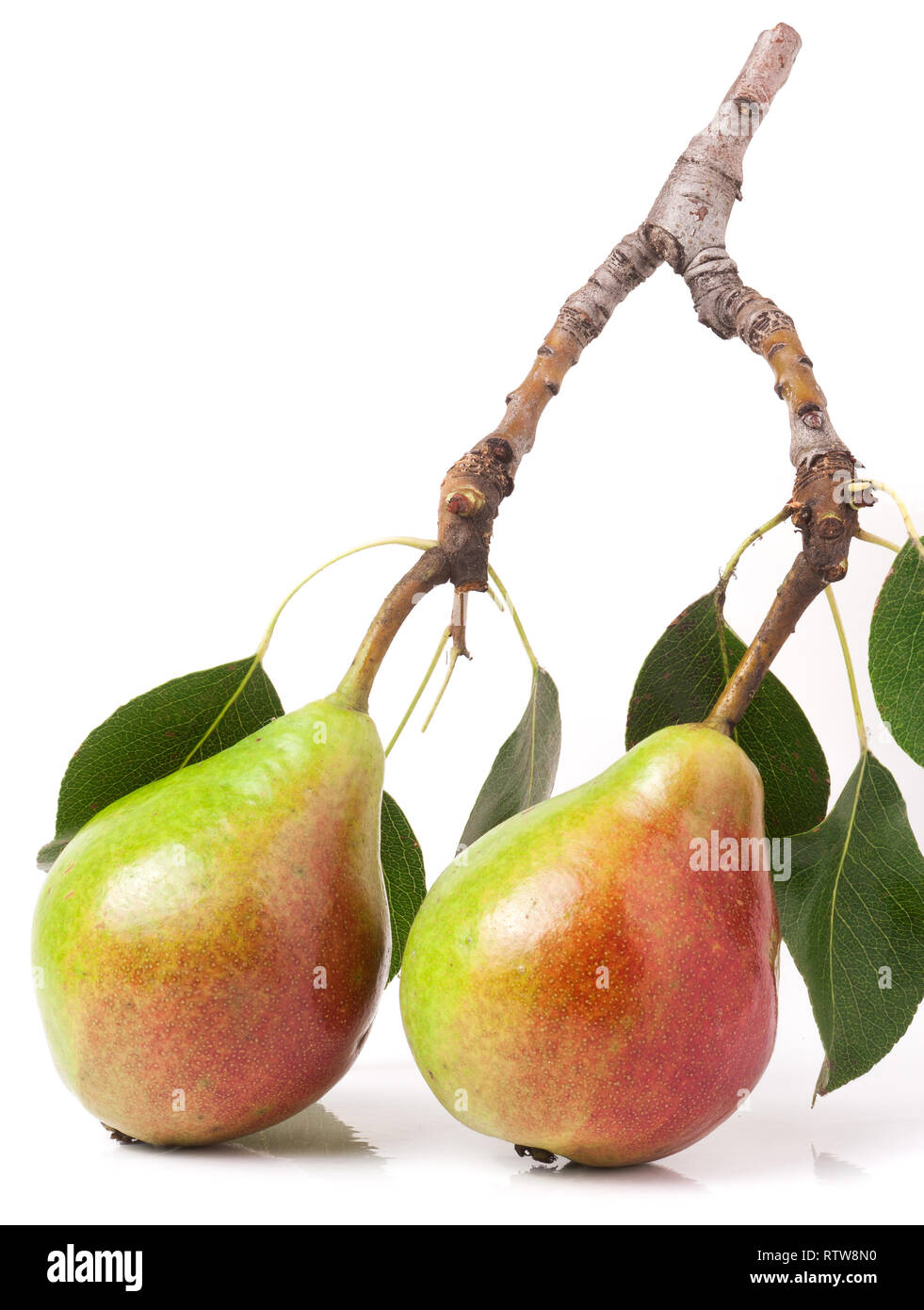 Two red pears with leaves isolated on white background Stock Photo - Alamy