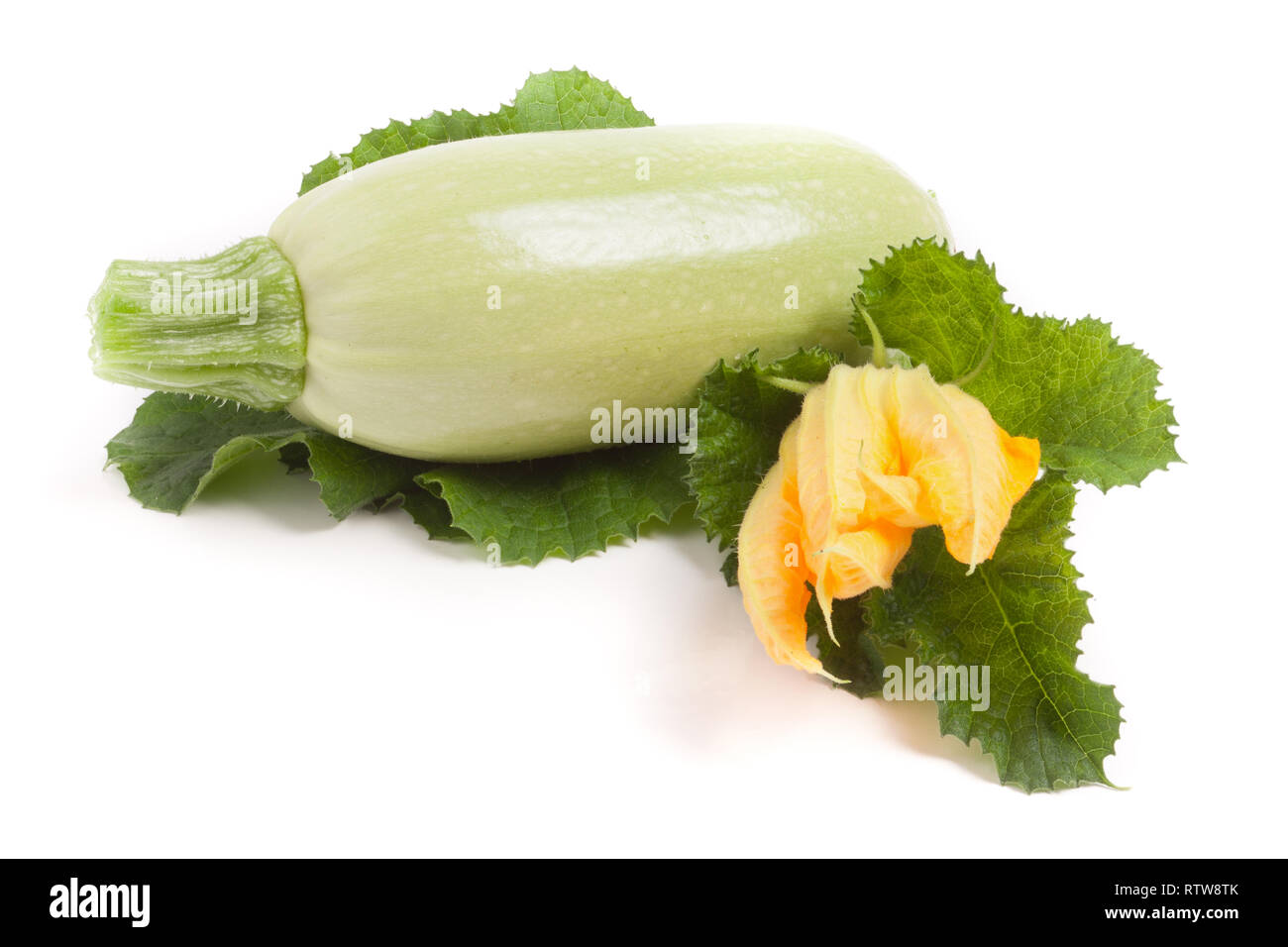 zucchini with flower and leaf isolated on white background Stock Photo ...