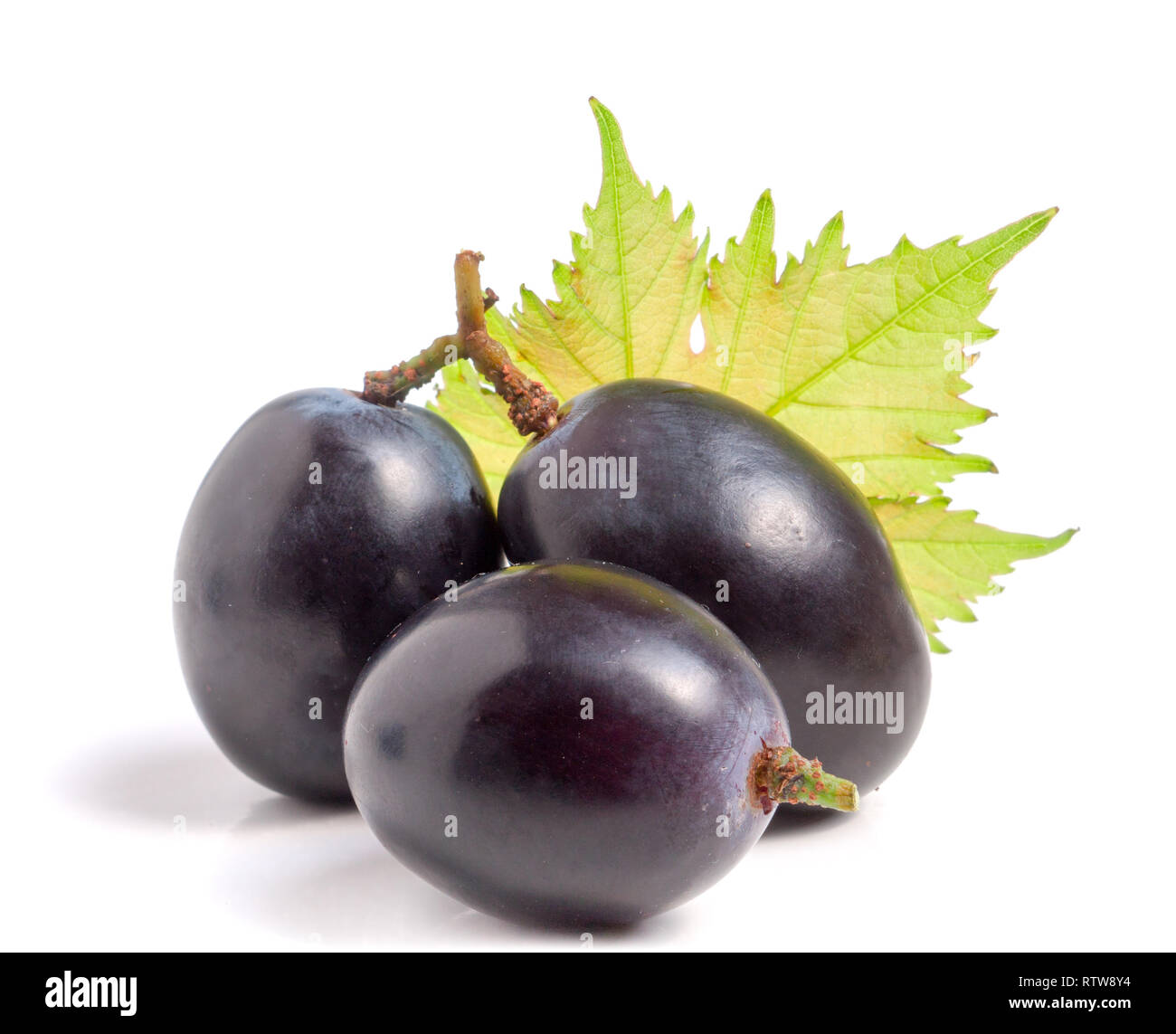 three blue grapes with leaf isolated on white background Stock Photo ...