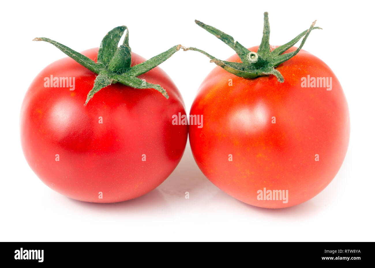 two tomato isolated on a white background Stock Photo - Alamy