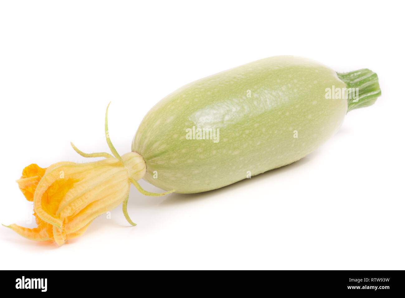 zucchini with flower isolated on white background Stock Photo - Alamy