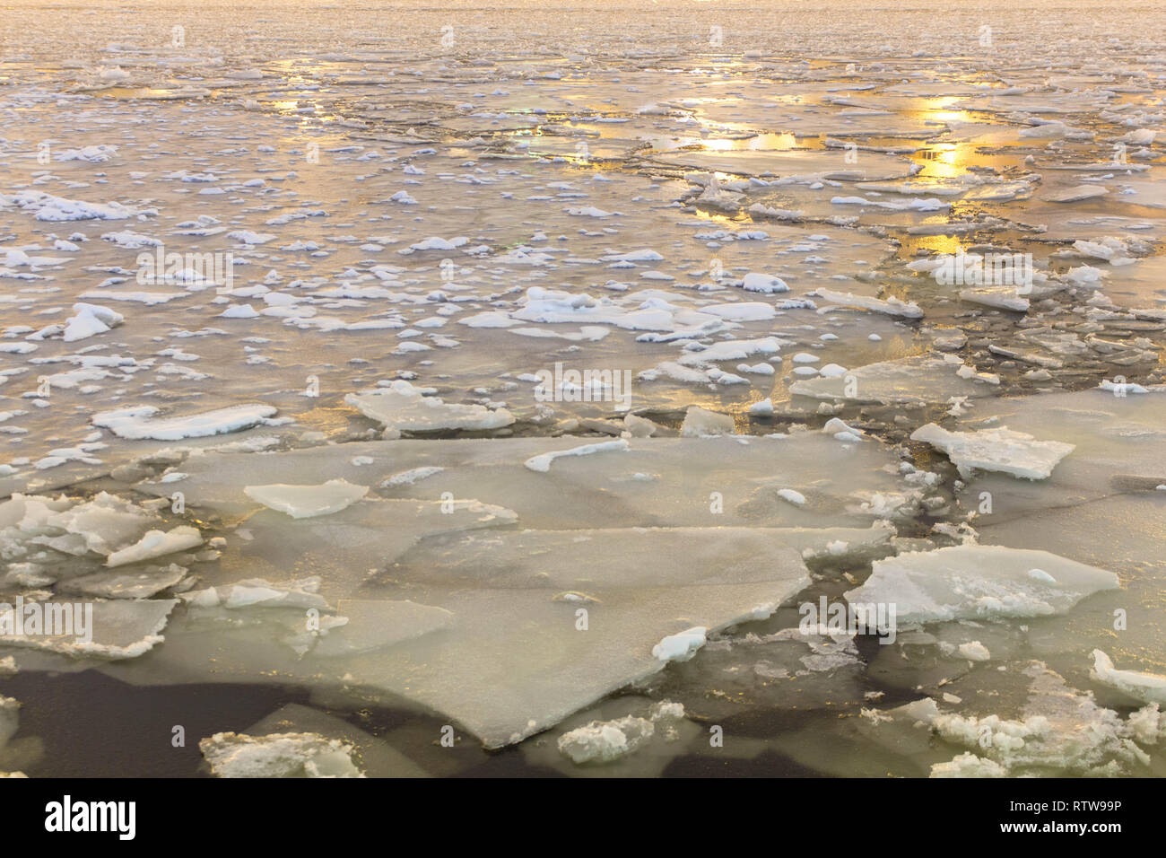 Cracked ice on the river. Spring warming, melting ice. Evening Stock ...