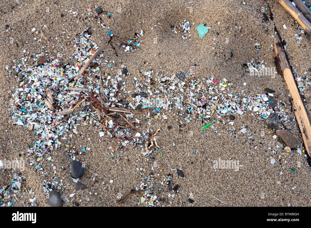 Microplastics and fish hi-res stock photography and images - Alamy