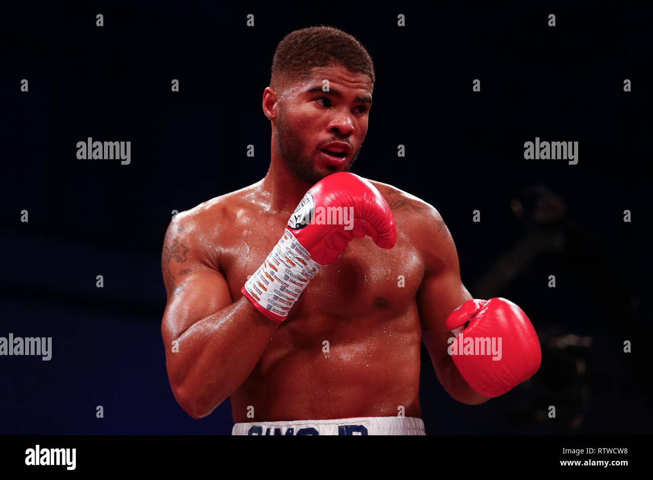 Peterborough, UK. 2nd March 2019, East of England Arena, Peterborough ...