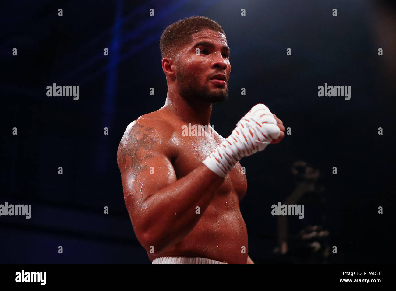 Damian jr hi-res stock photography and images - Alamy