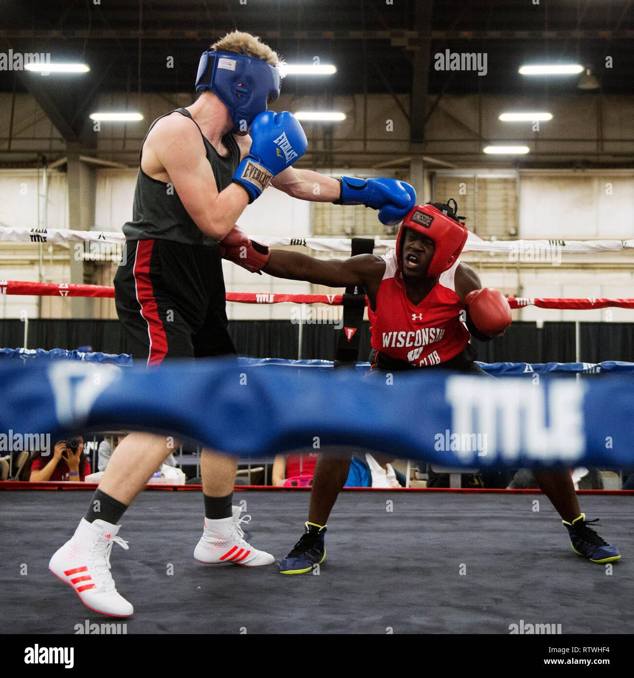 Boxing blood gloves hi-res stock photography and images - Alamy