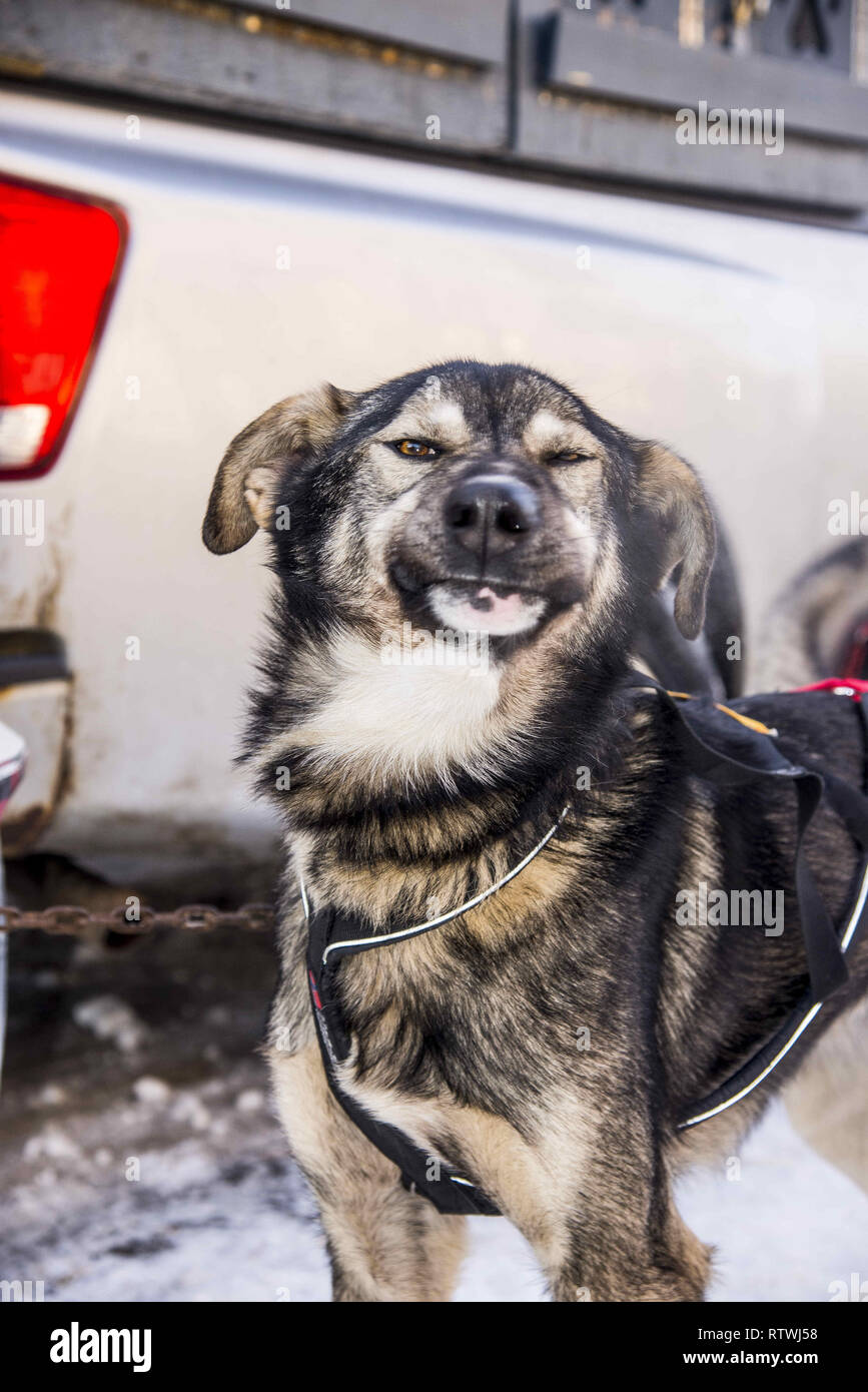 Anja radano hi-res stock photography and images - Alamy