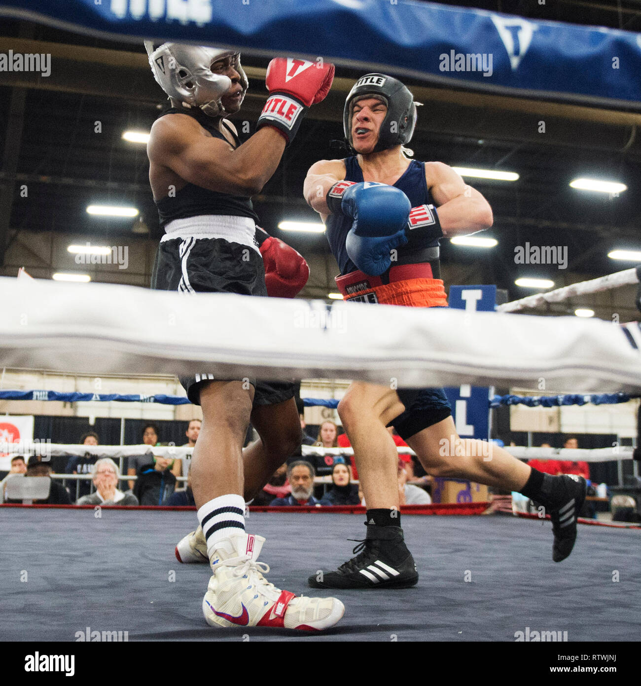 March 2, 2019: Danny Ayala of Illinois connects with a right hand ...