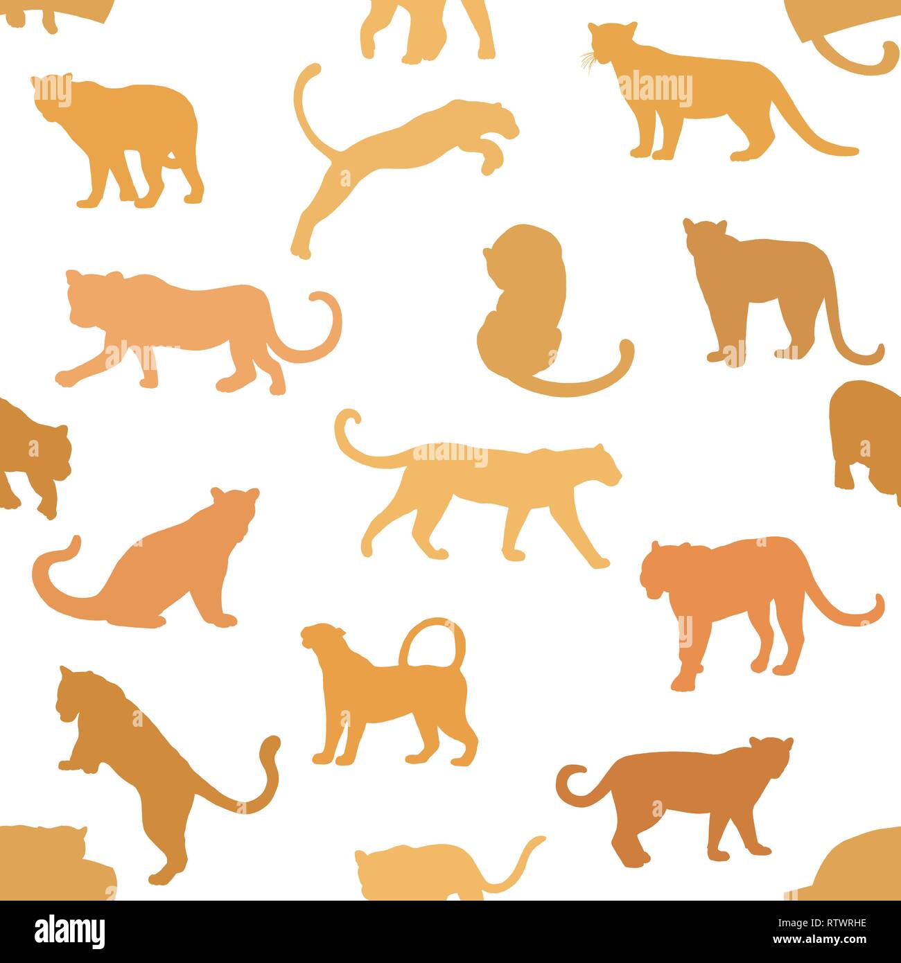 Clouded leopard vector vectors hi-res stock photography and images - Alamy