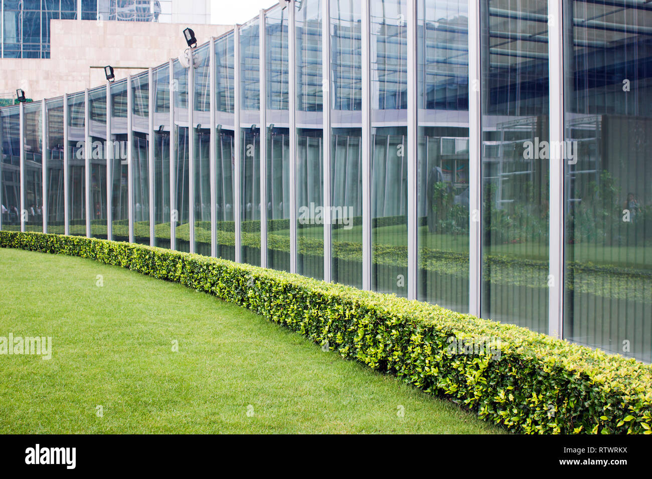Glazing of the Building by the Garden with Bushes and Grass Stock Photo ...