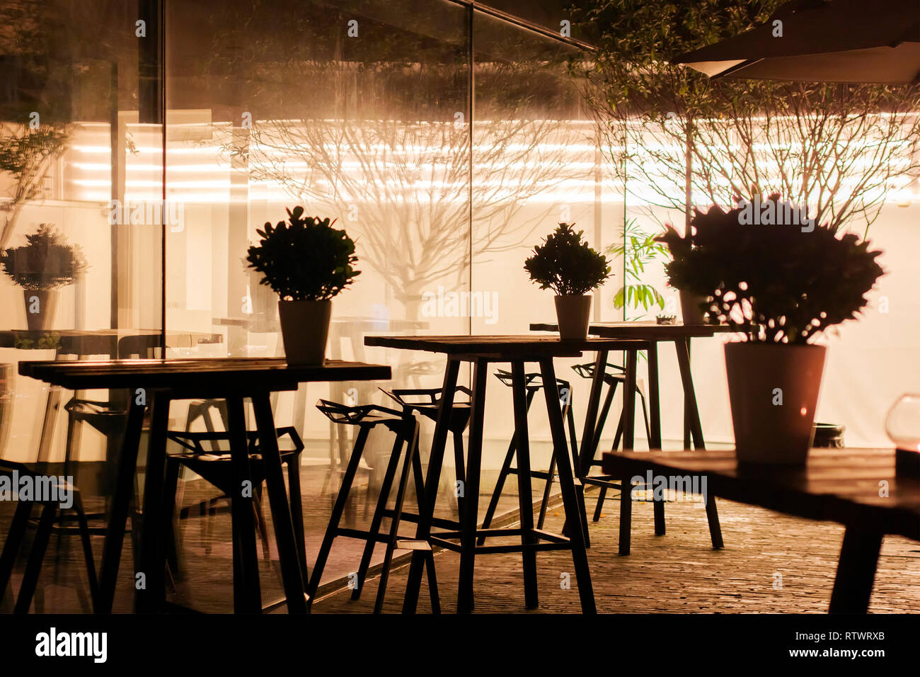 Three Tables and Plants in a Outdoor Courtyard. Outdoor Seating Area in ...