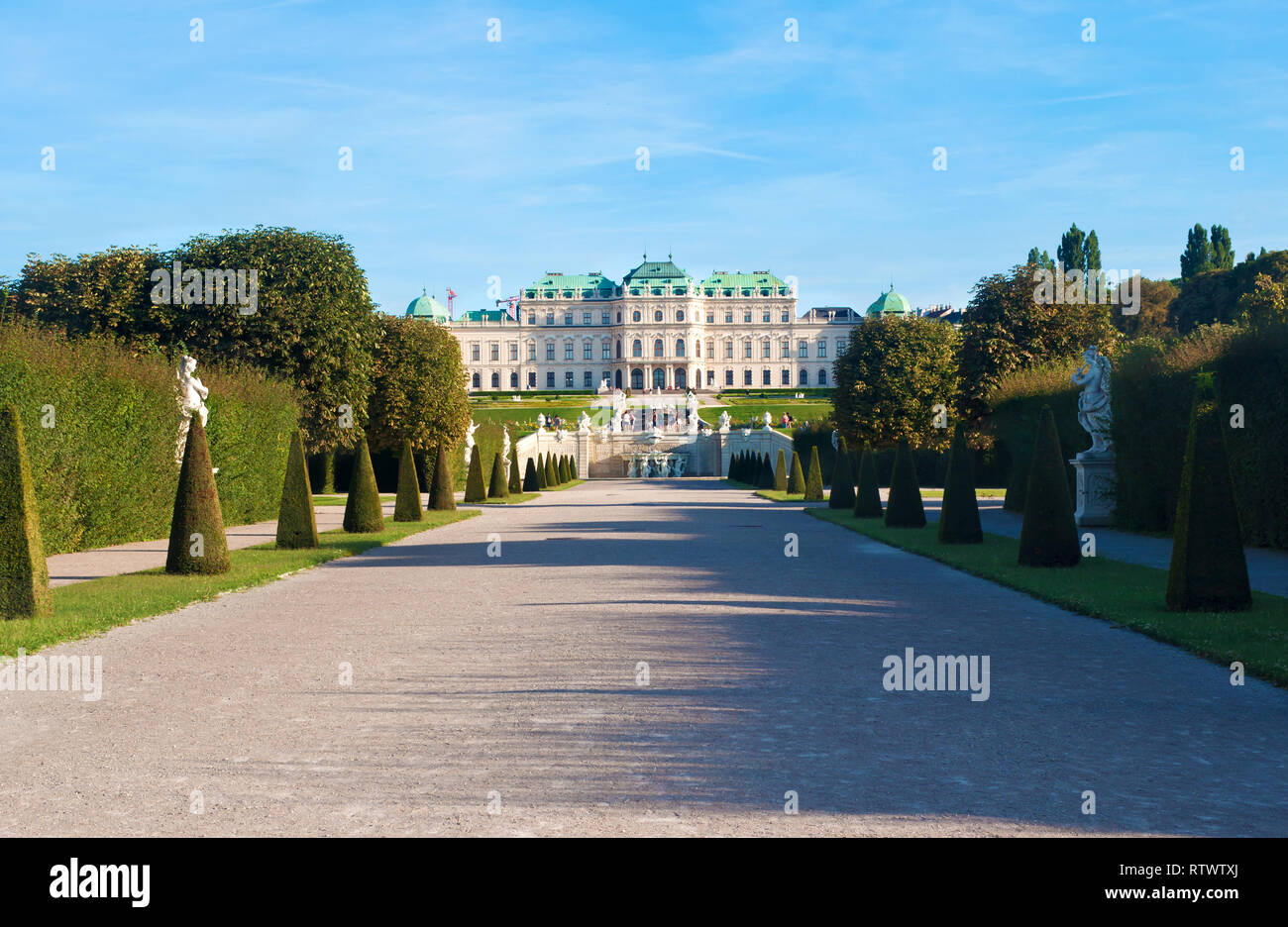 Conical bushes hi-res stock photography and images - Alamy