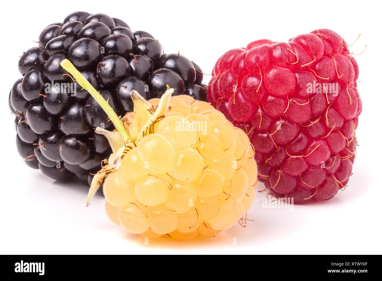 raspberries and blackberries isolated on white background Stock Photo ...