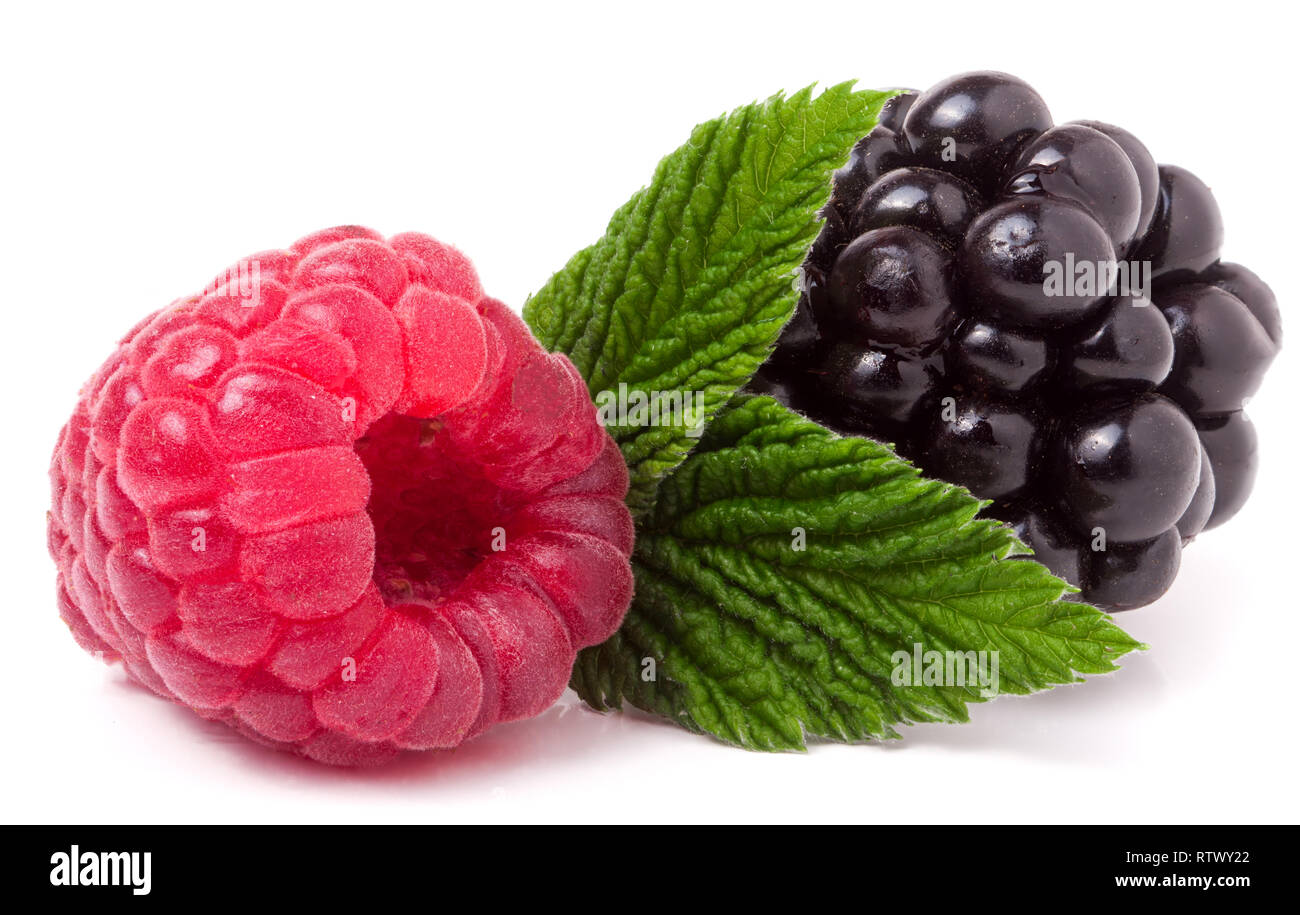 raspberries and blackberries with leaf isolated on white background ...