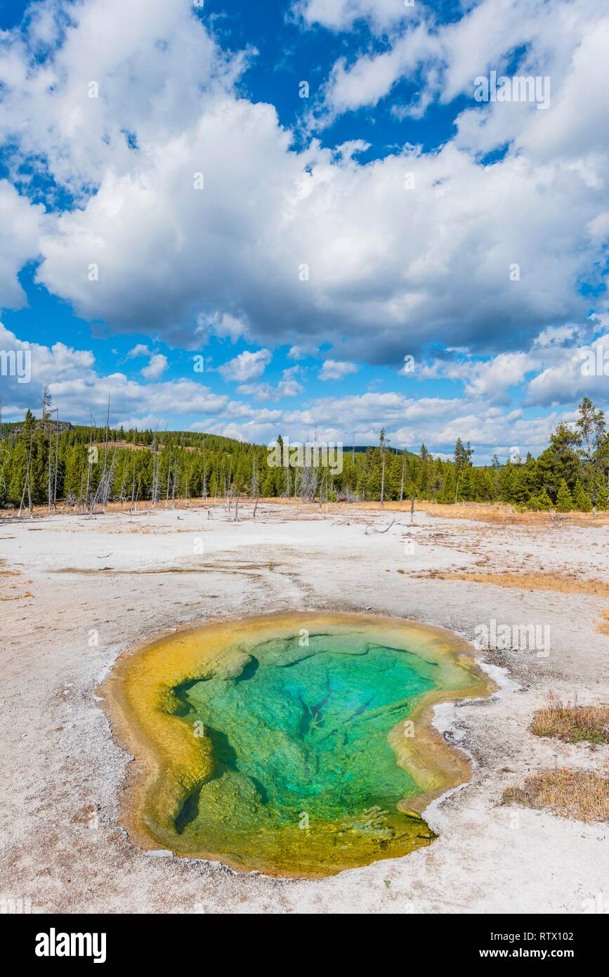 Biscuit basin yellowstone hi-res stock photography and images - Alamy