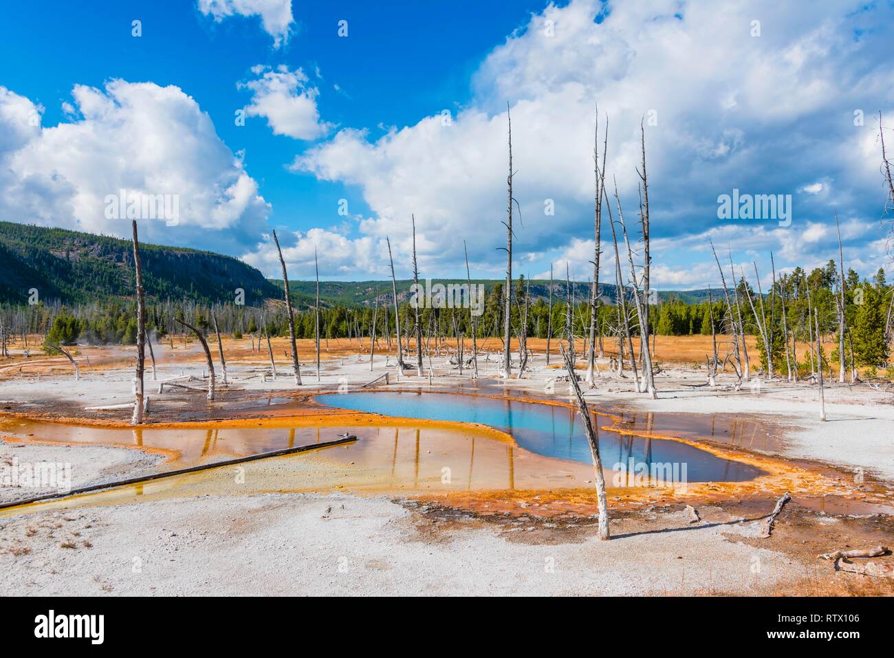 Dead Pool High Resolution Stock Photography and Images - Alamy