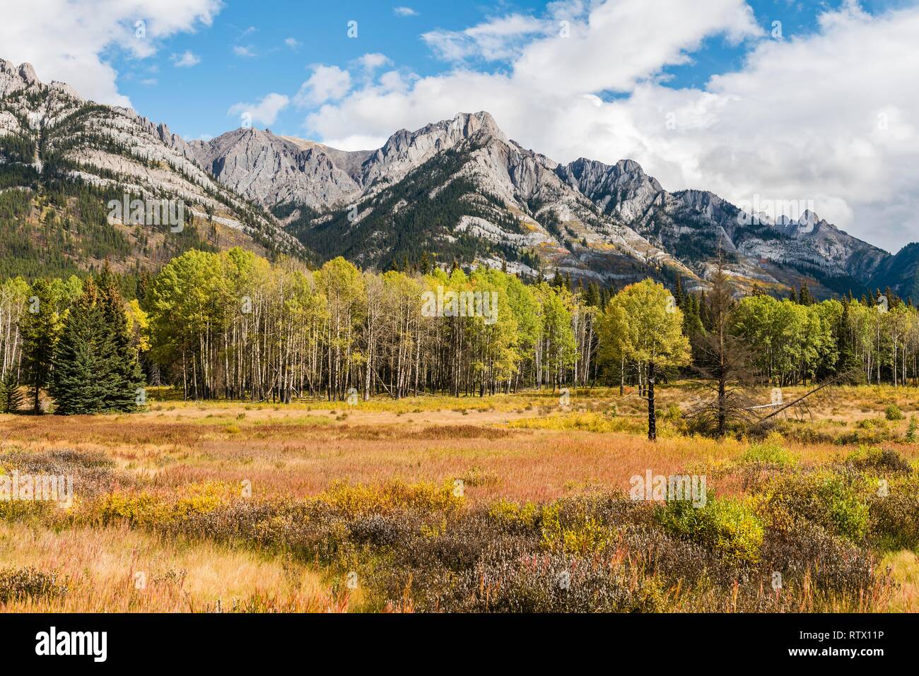 Fall Mountain Landscape, Cockscomb Mountain, Bow Valley, Banff National ...