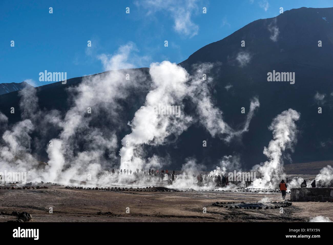 Thermal area with steaming geysers, geyser field El Tatio, Región de ...