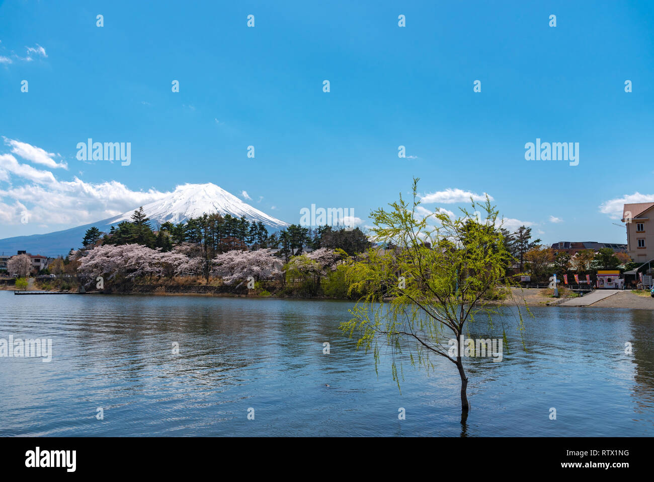 Close-up snow covered Mount Fuji ( Mt. Fuji ) with blue sky background ...