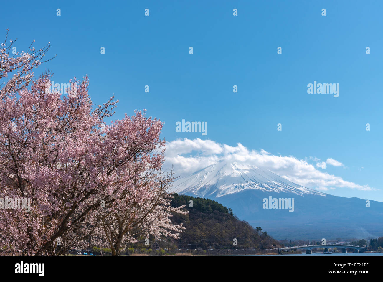 Close-up snow covered Mount Fuji ( Mt. Fuji ) with blue sky background ...