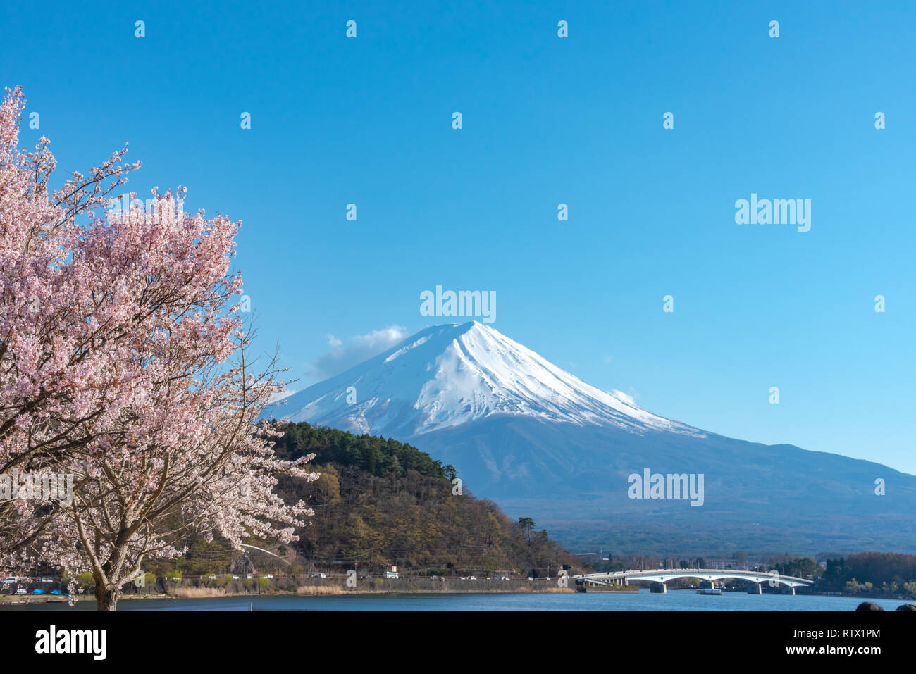 Close-up snow covered Mount Fuji ( Mt. Fuji ) with blue sky background ...