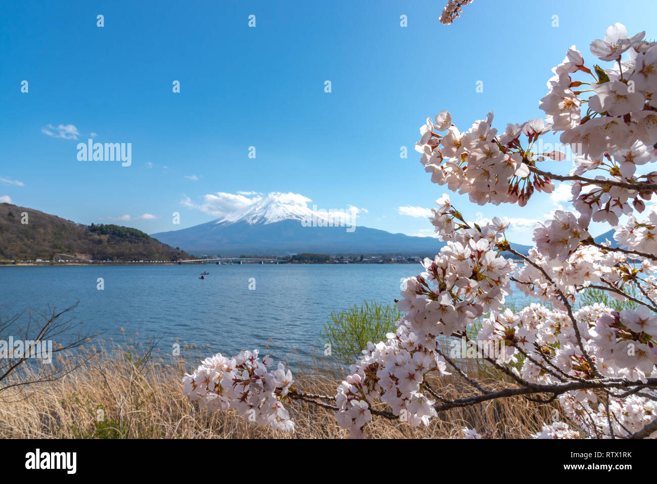 Close-up snow covered Mount Fuji ( Mt. Fuji ) with blue sky background ...