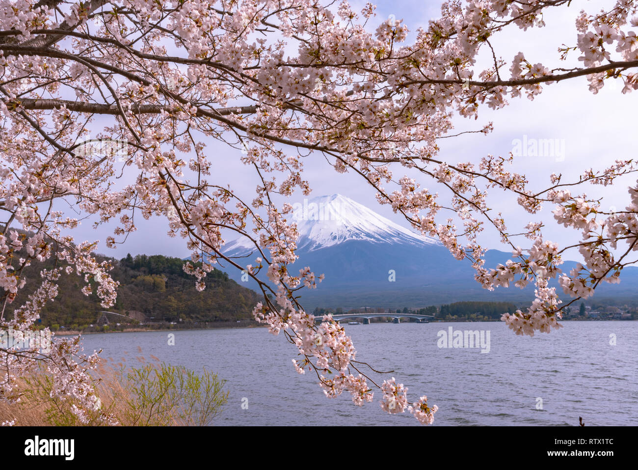 Close-up snow covered Mount Fuji ( Mt. Fuji ) with blue sky background ...