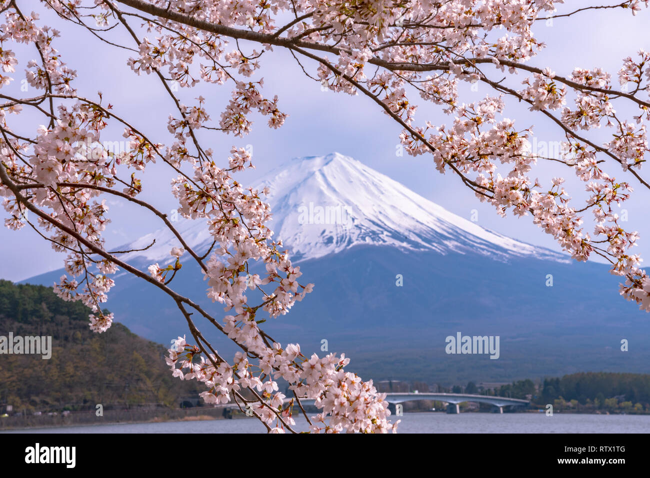 Close-up snow covered Mount Fuji ( Mt. Fuji ) with blue sky background ...