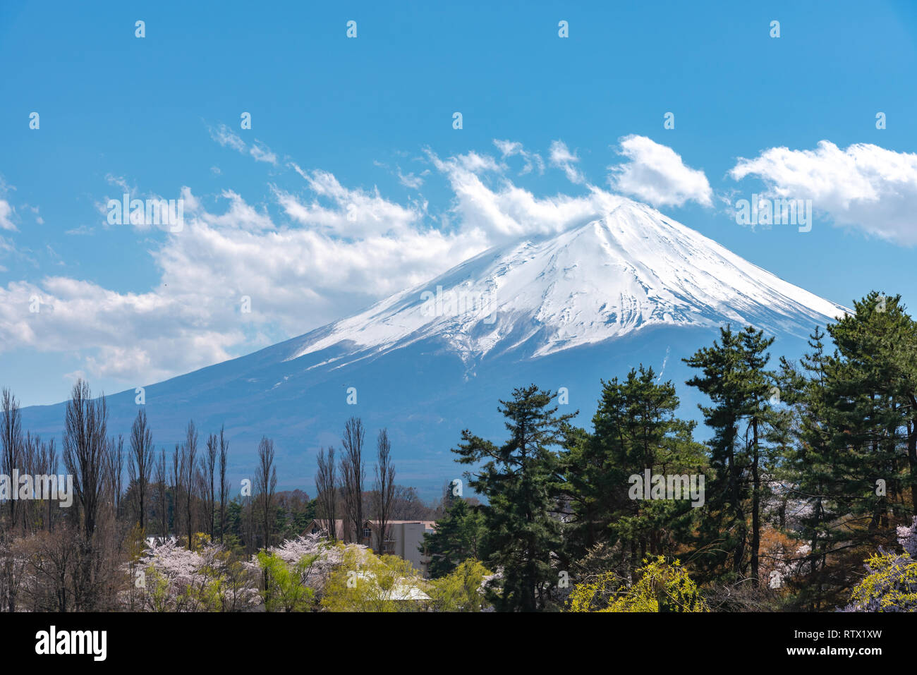 Close-up snow covered Mount Fuji ( Mt. Fuji ) with blue sky background ...