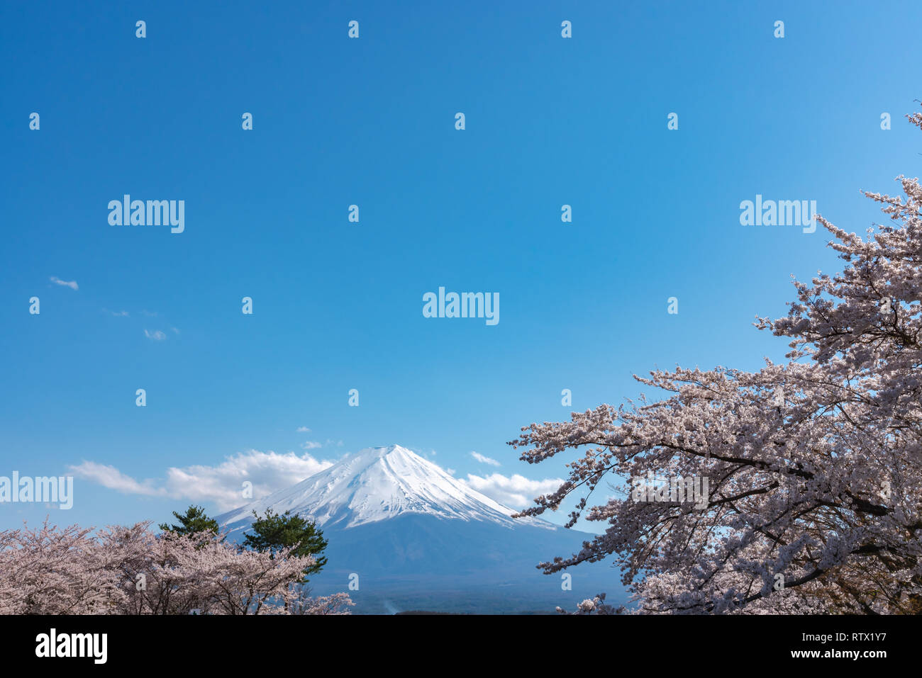 Close-up snow covered Mount Fuji ( Mt. Fuji ) with blue sky background ...