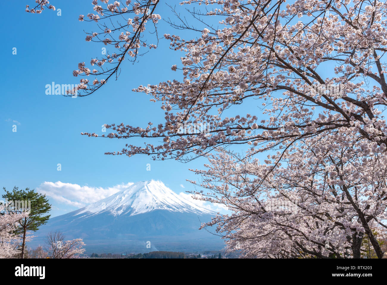 Close-up snow covered Mount Fuji ( Mt. Fuji ) with blue sky background ...