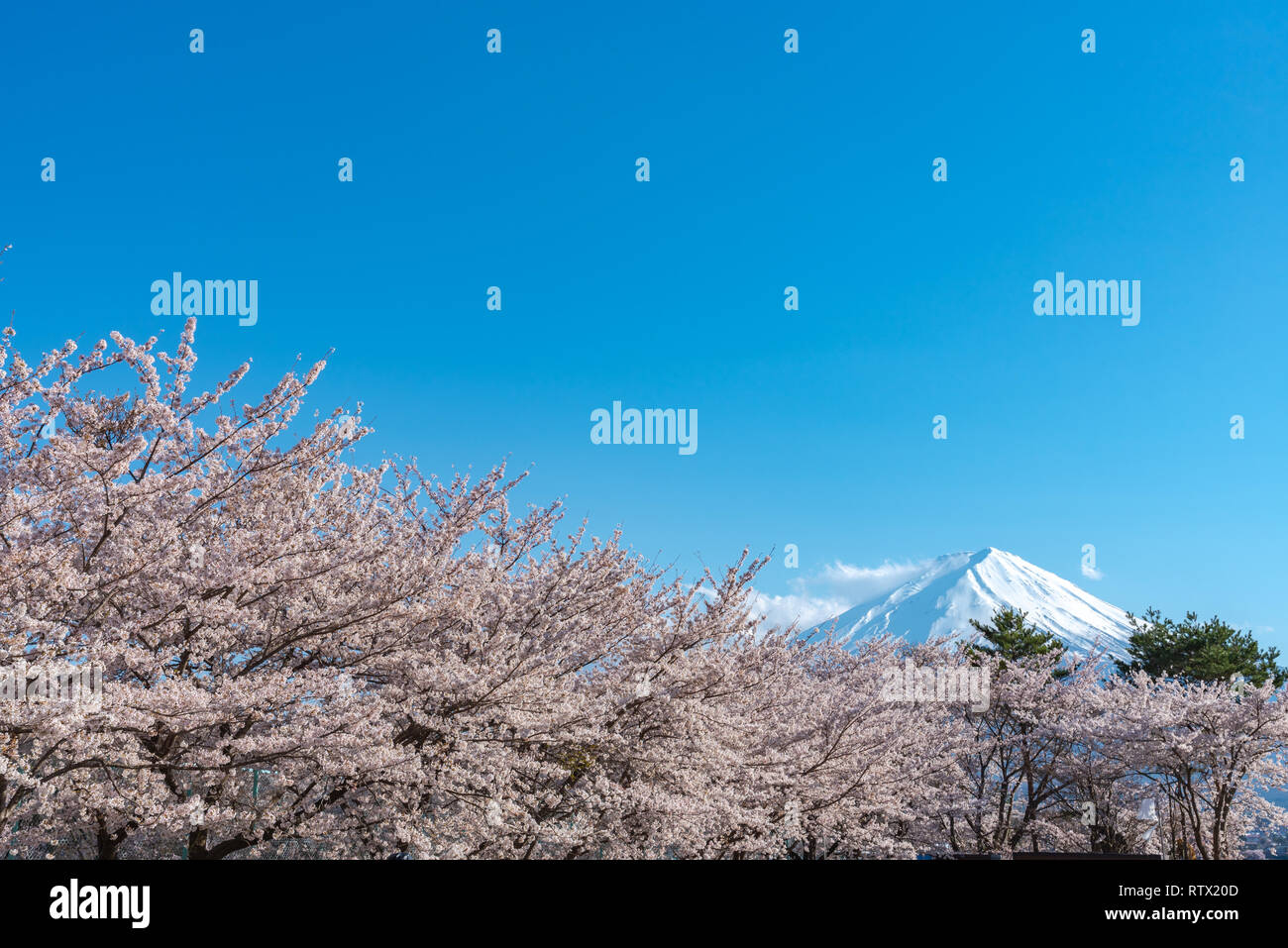 Close-up snow covered Mount Fuji ( Mt. Fuji ) with blue sky background ...