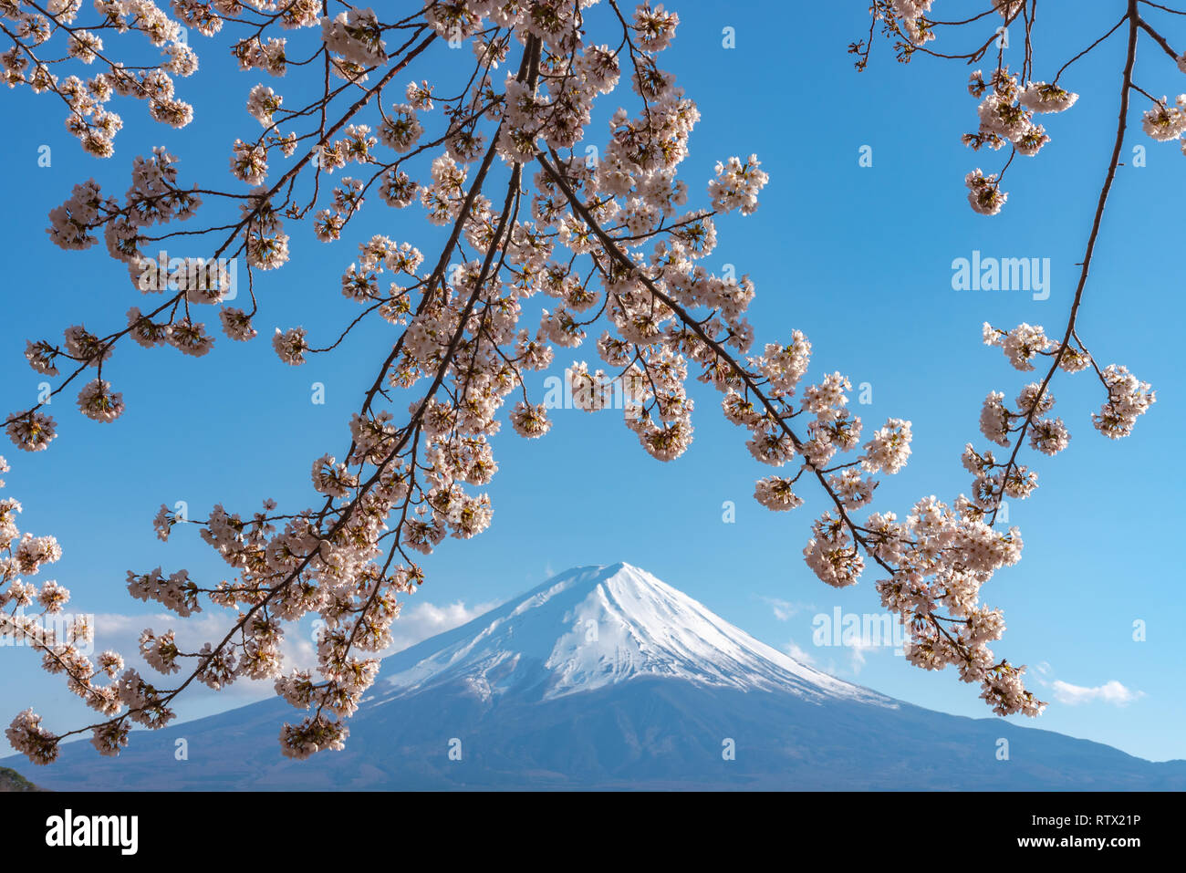 Close-up snow covered Mount Fuji ( Mt. Fuji ) with blue sky background ...